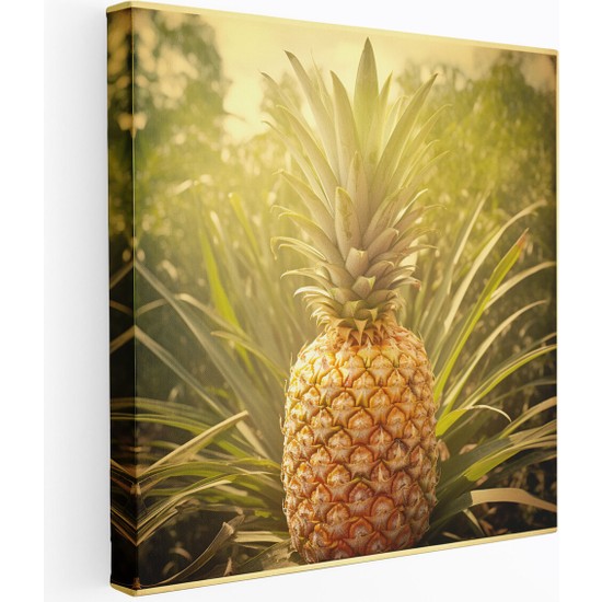 Painted Anarchy Güneşli Ananas Tuval Baskı - Retro Duvar Fiyatı