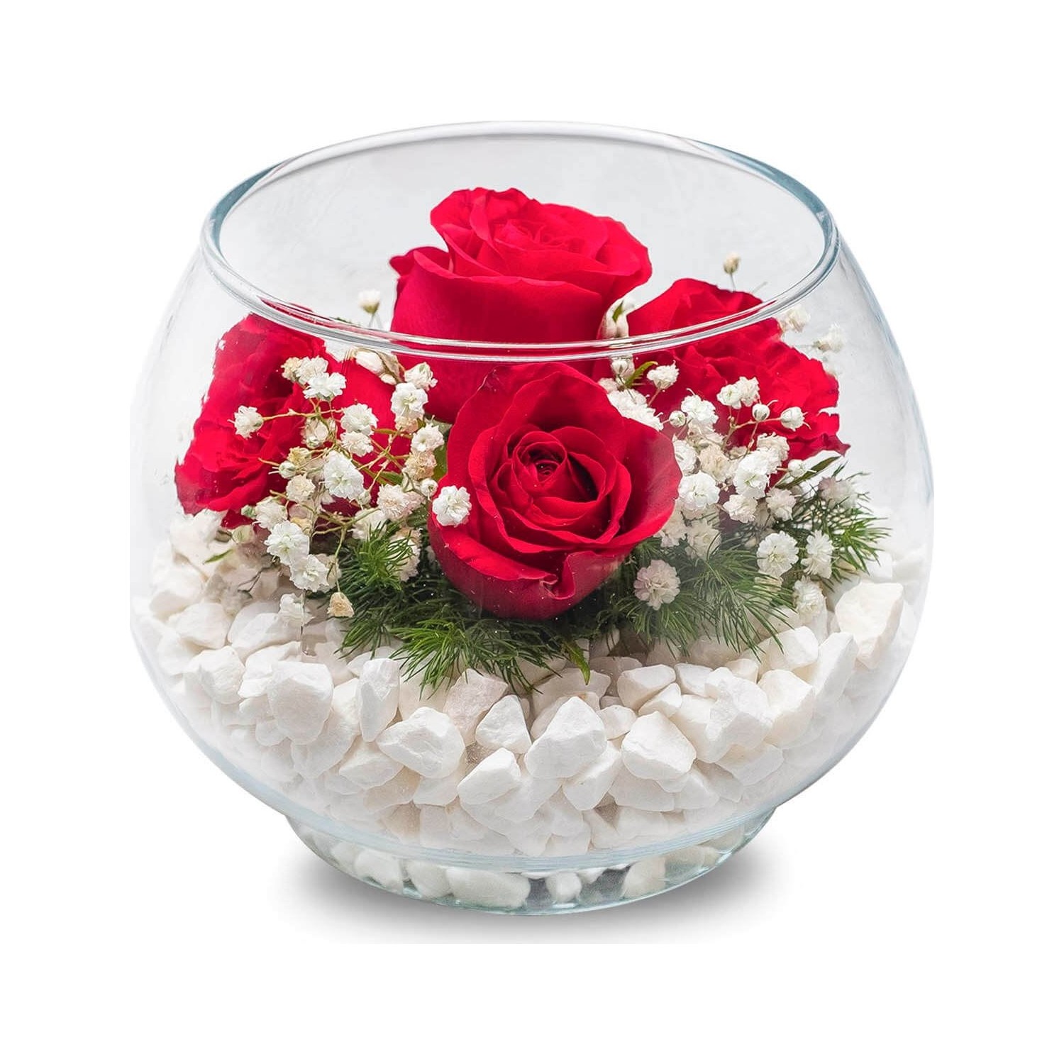 Akvaryum Vazoda 5 Kırmızı Güller Fiyatı - Taksit Seçenekleri
