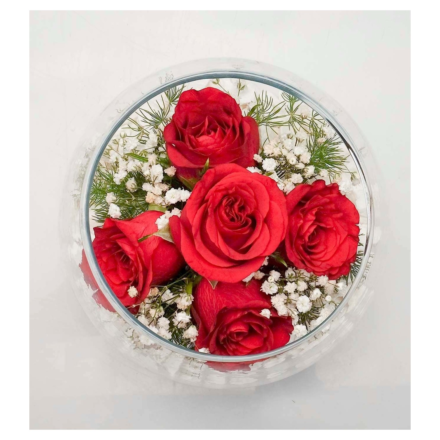 Akvaryum Vazoda 5 Kırmızı Güller Fiyatı - Taksit Seçenekleri
