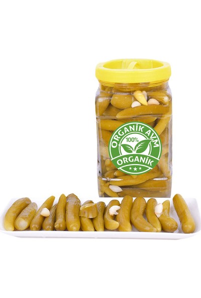 Organik AVM Elazığ Doğal Ev Yapımı Salatalık Turşusu 2,5 kg Organik AVM Elazığ Doğal Ev Yapımı Salatalık Turşusu 2,5 kg