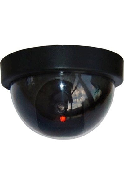 Rennway Caydırıcı Dome Güvenlik Kamerası