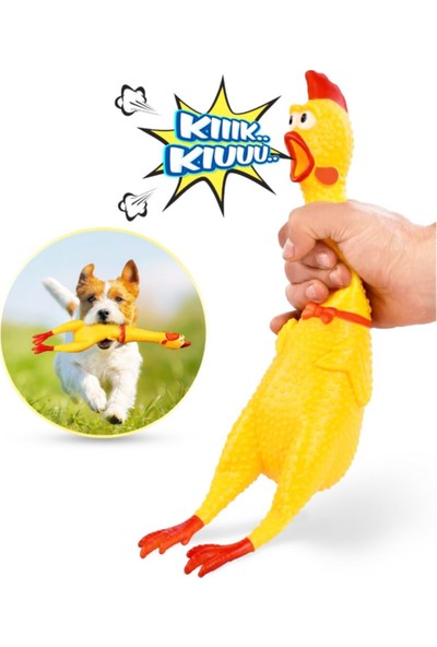 Mutlu Parti Bağıran Tavuk/horoz Oyuncak Mutlu Parti Bağıran Tavuk/horoz Oyuncak