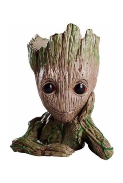 Ziphida Groot Sukulent Saksı Ziphida Groot Sukulent Saksı