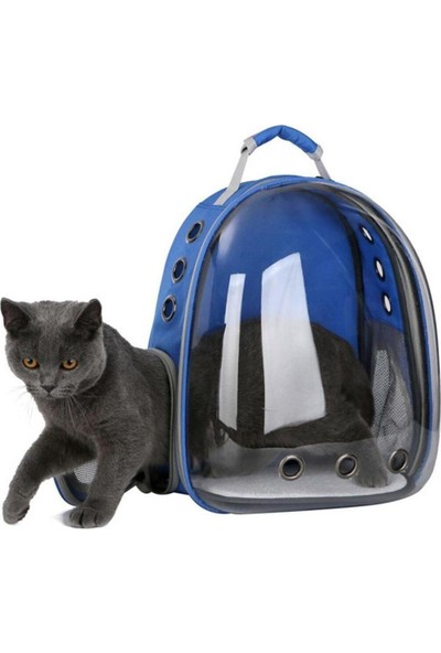 Actirex Şeffaf-Mavi Astronot Kedi Köpek Taşıma Çantası 42X22X33 cm Actirex Şeffaf-Mavi Astronot Kedi Köpek Taşıma Çantası 42X22X33 cm