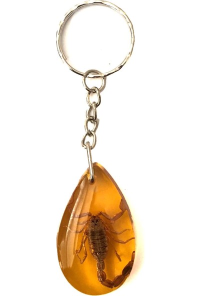 Tesbih Kenti Üçgen Tasarım Akrep Fosilli Anahtarlık