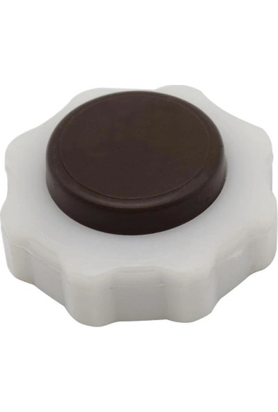 Vtskörük Renault Scenic Radyatör Ek Depo Kapağı