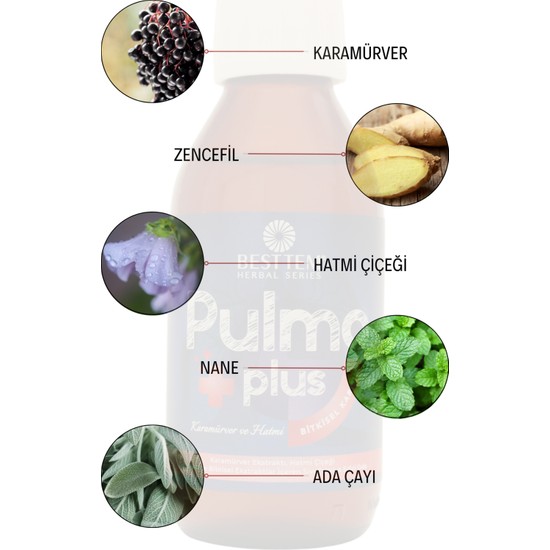 Besttem Pulmo Plus 100 ml Fiyatı - Taksit Seçenekleri