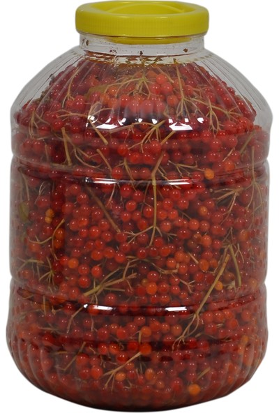 Mebrur Bio Bitkisel Gilaburu Meyvesi 10 kg