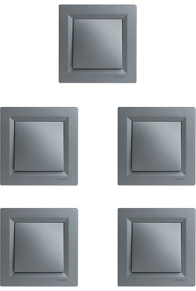 Schneider Electric Asfora Plus Tekli Anahtar Çelik Rengi 5li Paket Çerçeve Dahil Schneider Electric Asfora Plus Tekli Anahtar Çelik Rengi 5li Paket Çerçeve Dahil