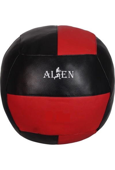 Alen Deri Sağlık Topu Crossfit Fittnes 12KG