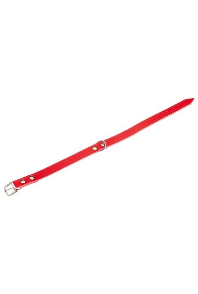 Karlıe Deri Boyun Tasma 27 cm Kırmızı Karlıe Deri Boyun Tasma 27 cm Kırmızı