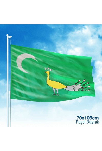 Asilmeydan Gazneliler Gazne Devleti Bayrağı 17 Eski Türk Devleti Bayrağı 70 x 105 cm Asilmeydan Gazneliler Gazne Devleti Bayrağı 17 Eski Türk Devleti Bayrağı 70 x 105 cm