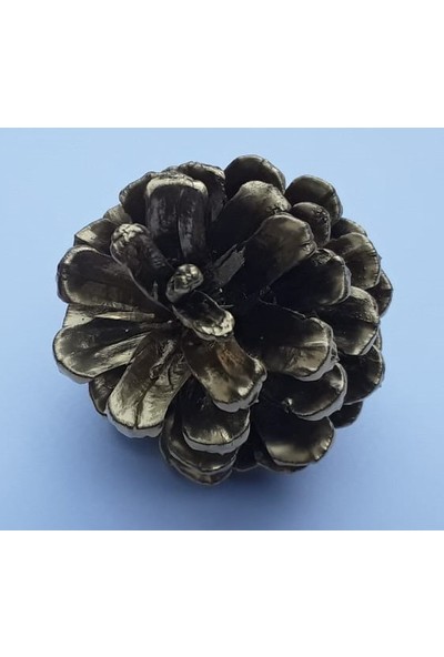 Kozalak Altın Kozalak Renkli Kozalak