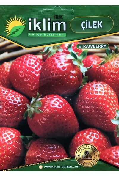 Karahasanoğlu Tarım Çilek Tohumu Vista Ort 200 Adet Tohum