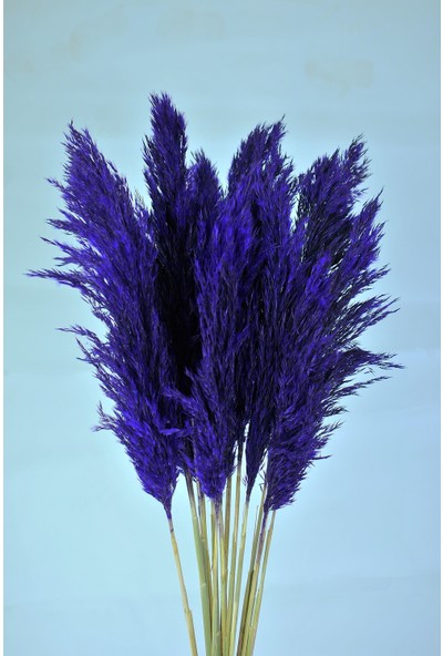 Yapay Çiçekçiniz Şoklanmış Mor 16'lı Pampas Otu 100cm