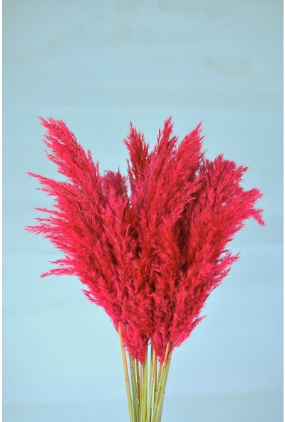 Yapay Çiçekçiniz Şoklanmış Pembe Renk 1912082021216'LI Pampas Otu 100cm