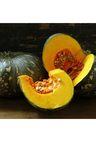 OnlineBahçem Çok Tatlı Doğal Tatlılık Reçellik Bal Kabağı Fidesi(5 Adet) OnlineBahçem Çok Tatlı Doğal Tatlılık Reçellik Bal Kabağı Fidesi(5 Adet)