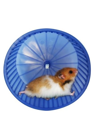 Rota Hamster Çarkı Küçük 10*5 cm Rota Hamster Çarkı Küçük 10*5 cm