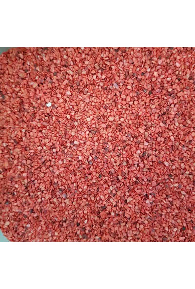 Turkuaz Hediyelik Kırmızı Deniz Kabuğu Kumu-1 kg