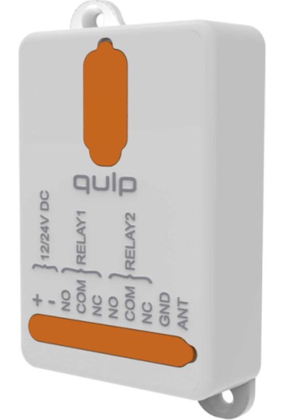 Kontal Qulp Serisi 12/24 Volt Kuru Kontak Alıcı Kart - 1 Kanal (868 Mhz)