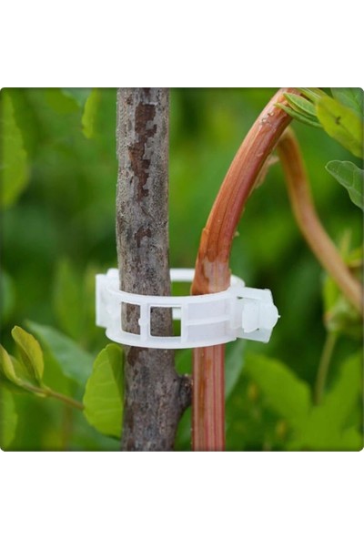 Cmr Domates Klipsi-Bitki Klipsi 500 Adet (25MM) Cmr Domates Klipsi-Bitki Klipsi 500 Adet (25MM)