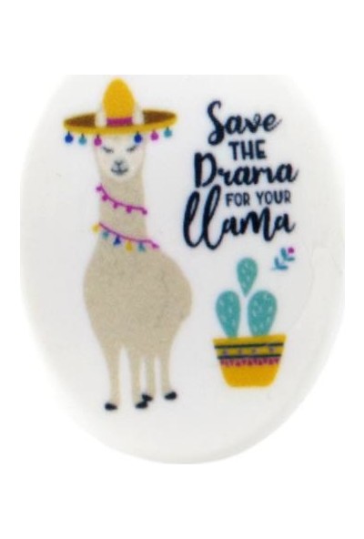 Silka Lama-Kaktüs Silgi Sg22