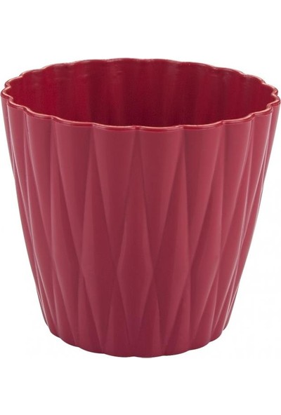 Tvet Istiridye Saksı 22 x 20 cm Büyük T39238