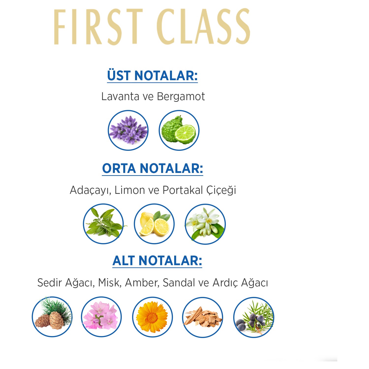 First Class Erkek Parfüm EDT 100 ml. Fiyatı - Taksit Seçenekleri