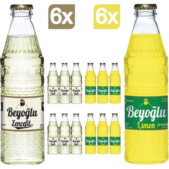 Beyoğlu Zencefil Aromalı Gazoz 6 x 250 ml + Limonlu Gazoz 6 Fiyatı