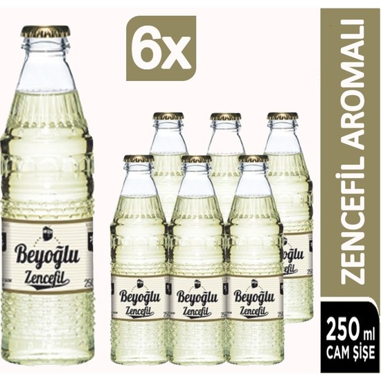 Beyoğlu Zencefil Aromalı Gazoz 6 x 250 ml + Limonlu Gazoz 6 Fiyatı