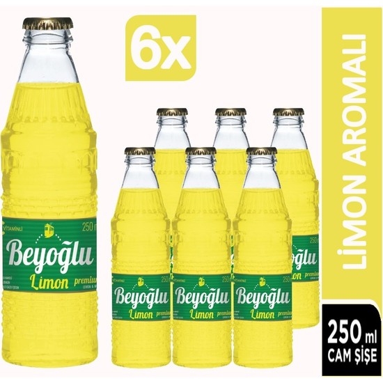 Beyoğlu Zencefil Aromalı Gazoz 6 x 250 ml + Limonlu Gazoz 6 Fiyatı