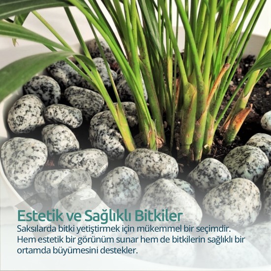 Bozsan Granit Taş 1-2cm Dolomit Taşı Bahçe Süs Akvaryum Taşı Fiyatı