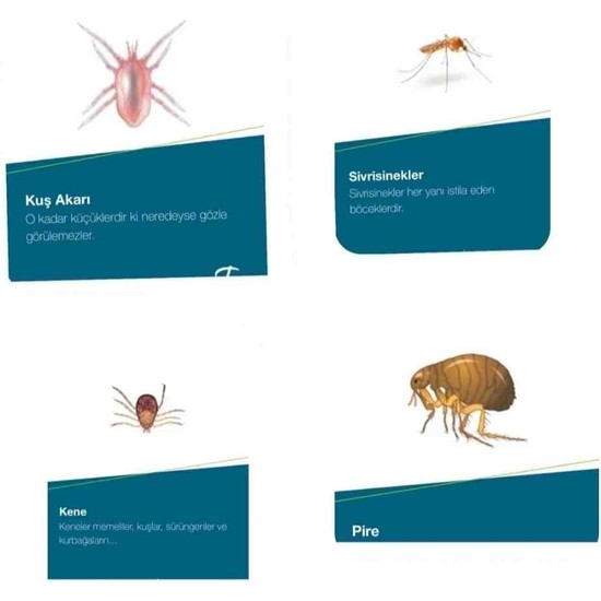 Prosim Bit-Pire-Kene Ilaçlama Seti Procaps 50 ml / 1 Lt Fiyatı