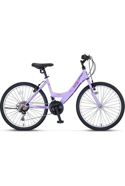 Ümit Bisiklet Ümit Colorado 24 Layd 2400 14 Dağ Bisikleti Lila - 100142