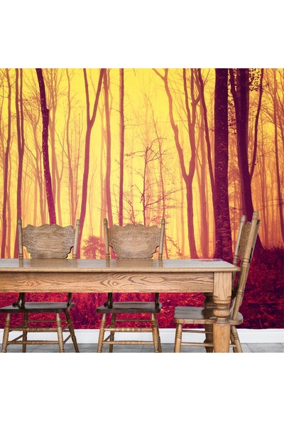 Plustablo Orman Manzaralı Poster Duvar Kağıdı