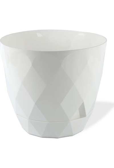 Karasu Yakamoz Renkli Saksı Karasu Yakamoz Renkli Saksı