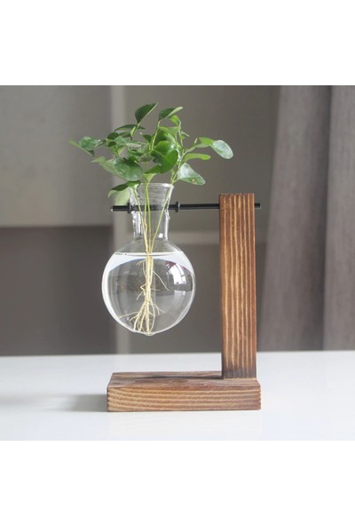 Nedawood Masa Üstü Teraryum Bambu Yaratıcı Topraksız Bitki Cam Şeffaf Vazo MAS11
