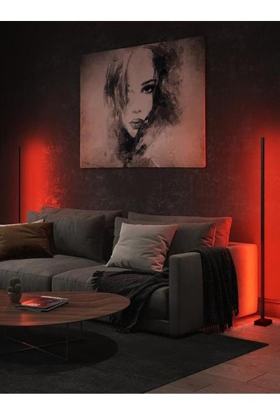 Blue Digital Bluedıgıtal LED Full Rgb 256 Renk Dekoratif Lambader -Led Lamba Işık Sistemi- Gümüş Renk Kasa