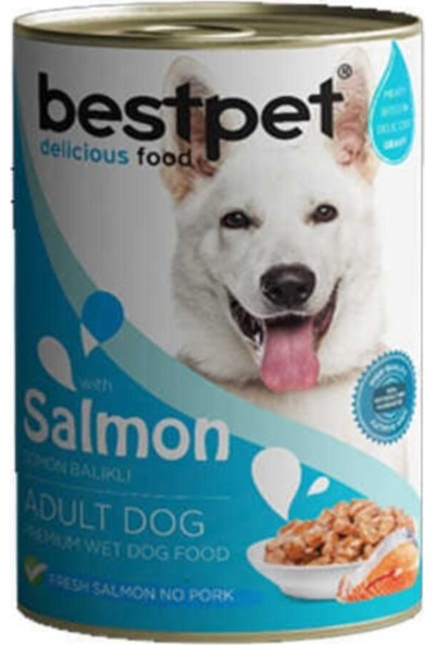 Bestpet Best Pet Somon Balıklı Köpek Konservesi Bestpet Best Pet Somon Balıklı Köpek Konservesi