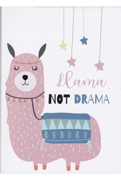 Mikro NT-207 Çizgili Bloknot Not Defteri 64 Yaprak