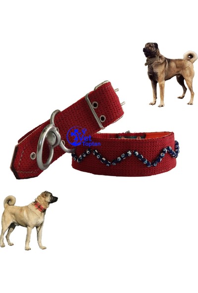 Mutlu Tavukçuluk Kangal Malaklı Tasma Boncuklu Köpek Boyun Tasması