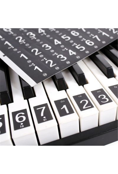 Solo Piyano ve Org Nota Stıckerı