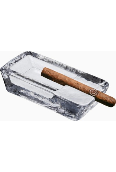 Paşabahçe Nude Puro Küllüğü 25020