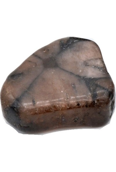 Murty99 Hakiki Tamburlu Doğal Çistolit Kaya Parçası 001 Murty99 Hakiki Tamburlu Doğal Çistolit Kaya Parçası 001