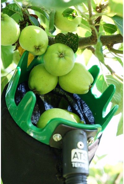 Öncü Lider Mobilya Meyve Toplayıcı, Limon, Elma Vb. Plastik Meyve Toplama Aparatı ATS003