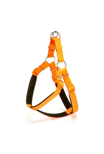 Doggie Comfort Ronin Köpek Bel Tasması 85 cm Turuncu