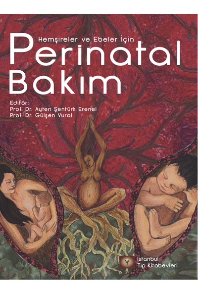 Hemşireler ve Ebeler Için Perinatal Bakım