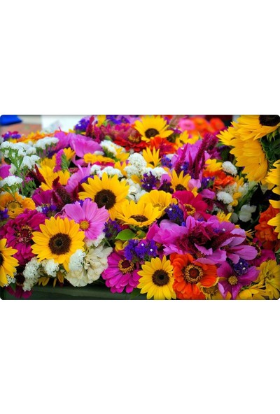 Arzuman Karışık Çiçekler Tohumu (50 Adet) 8-10 Çeşit Çiçek