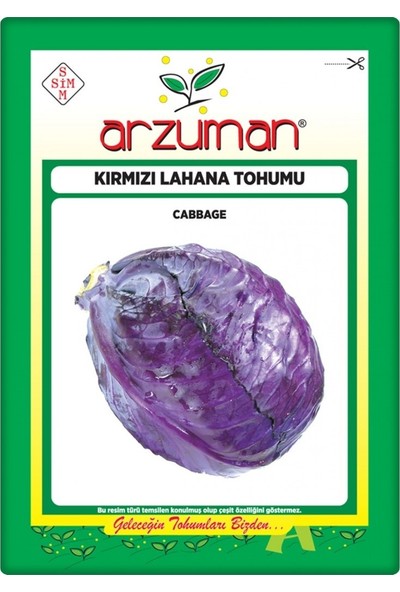 Arzuman Kırmızı Lahana Tohumu (Kara Lahana) 10 gr
