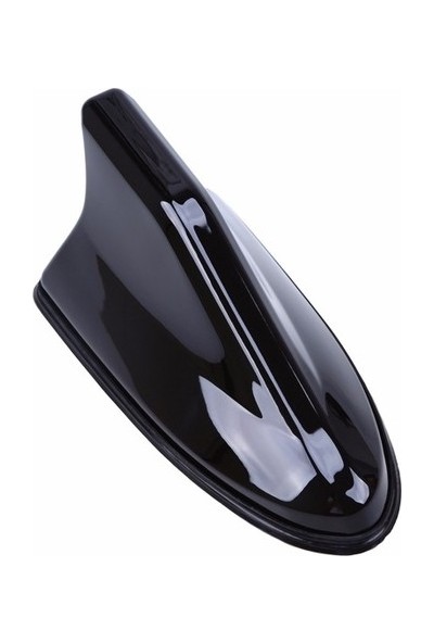 Boğaziçi Balık Sırtı Köpek Balığı Balina Gerçek Anten